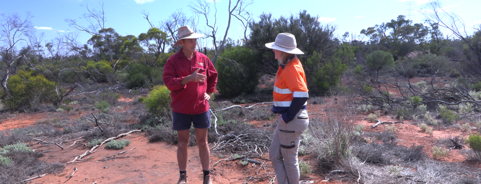 Celebrating our landholder engagements | ElectraNet